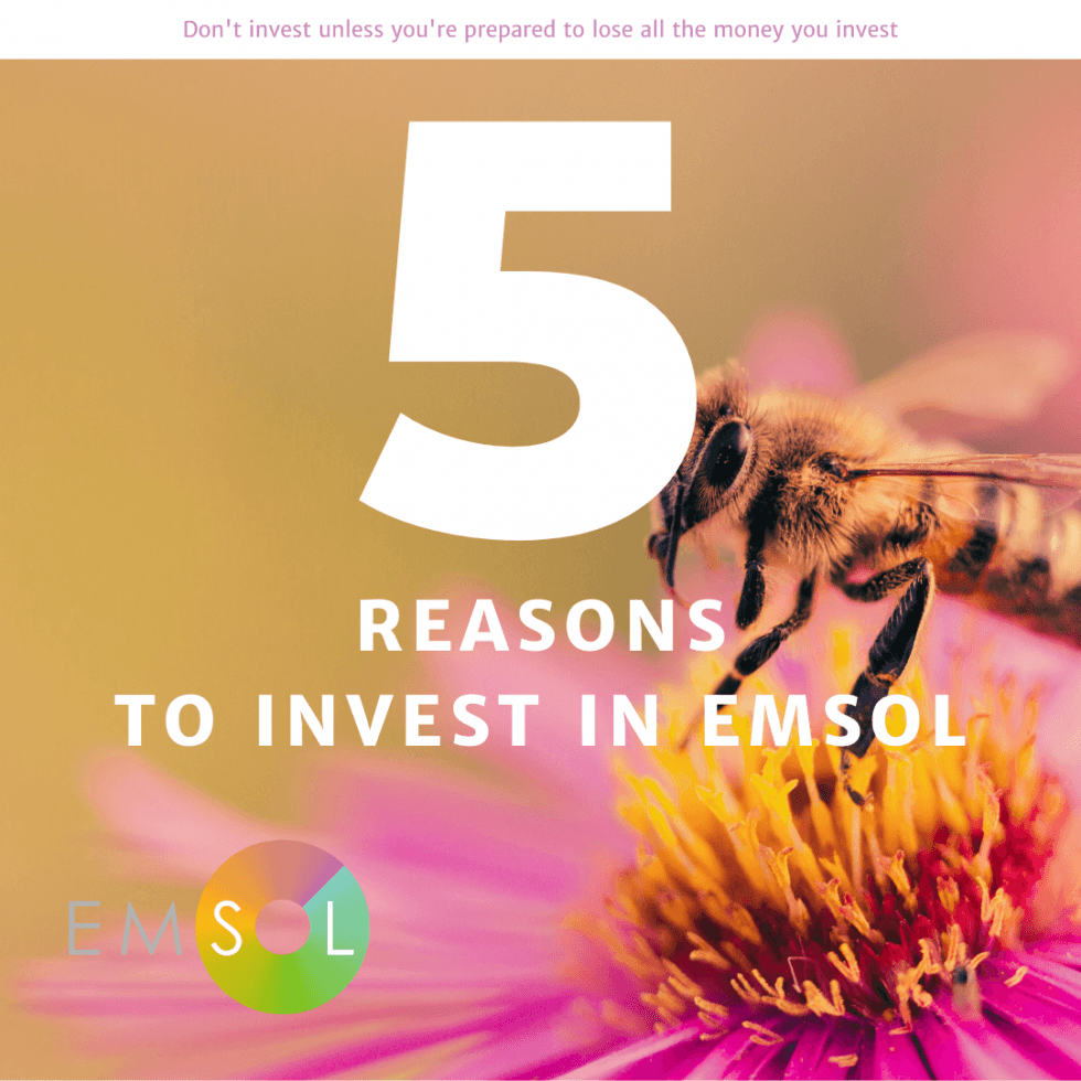 5 Reasons to Invest in EMSOL | EMSOL