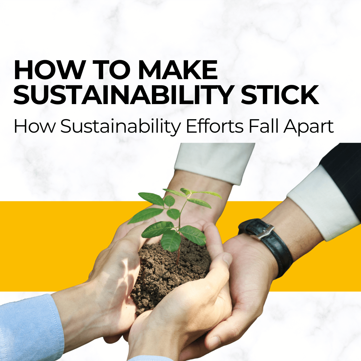 How Sustainability Efforts Fall Apart and Making Sustainability Stick ...