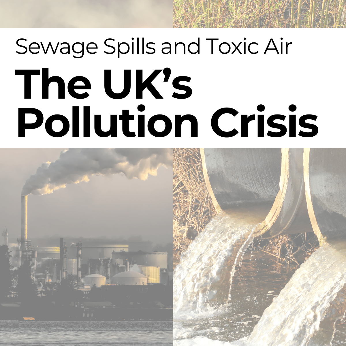 Sewage Spills and Toxic Air: The UK's Twin Pollution Crises | EMSOL